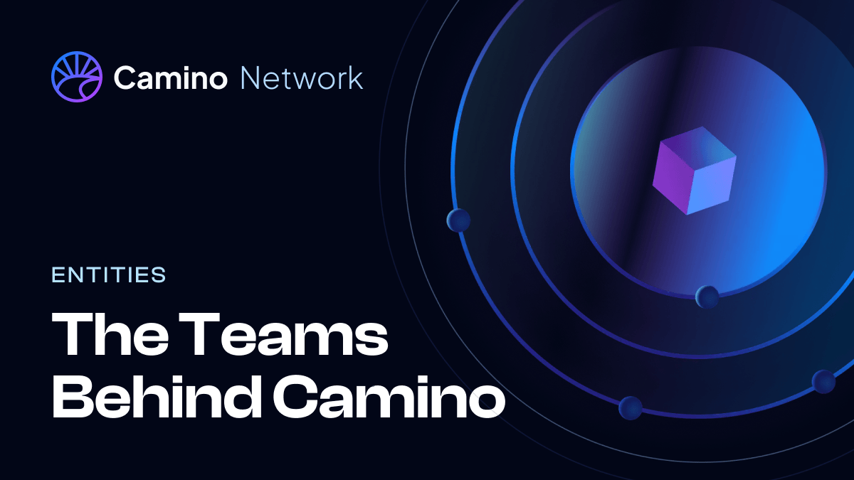 The core teams building Camino Network ecosystem and infrastructure. - Camino Network